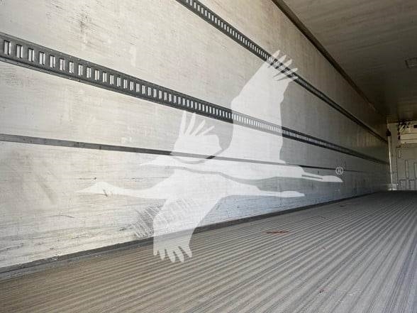 Utility 48' MULTI TEMP REEFER, CARRIER VECTOR 6600MT UNIT,