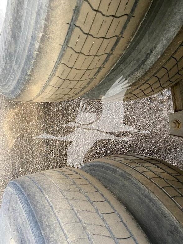 Utility 48' MULTI TEMP REEFER, CARRIER VECTOR 6600MT UNIT,