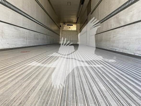 Utility 48' MULTI TEMP REEFER, CARRIER VECTOR 6600MT UNIT,