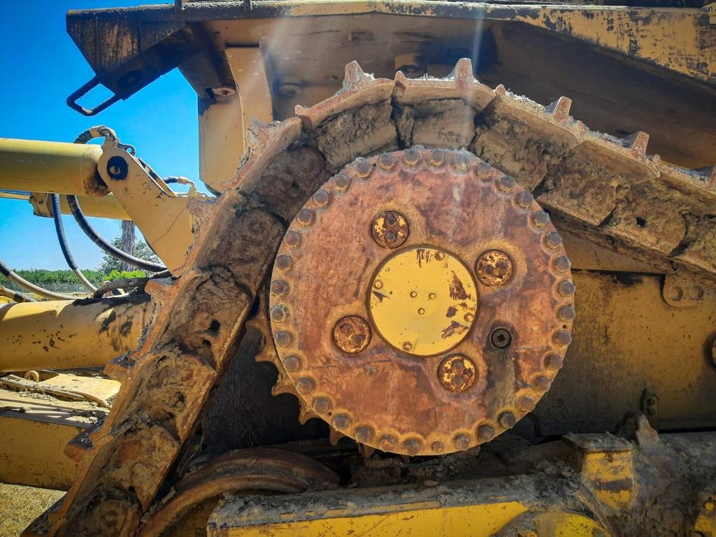 CAT D10