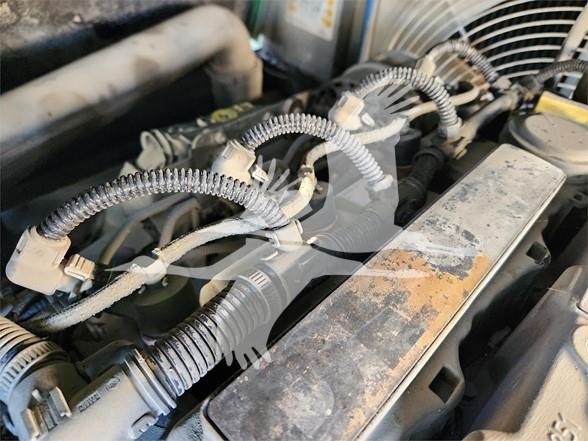 Sullivan Palatek D185