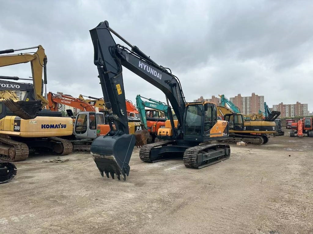 2019 Hyundai 225LC-9T (1085769) | P&E