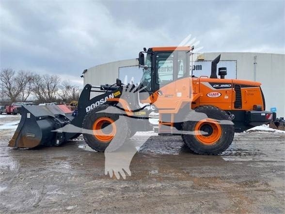 Doosan DL250-5
