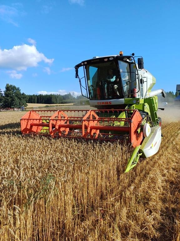 CLAAS AVERO 240 C430 - Combine Harvesters - Agriculture - Danish Agro ...