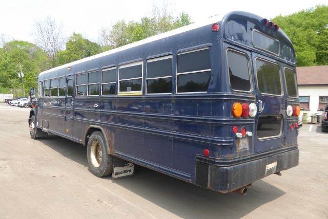 Blue Bird VISON