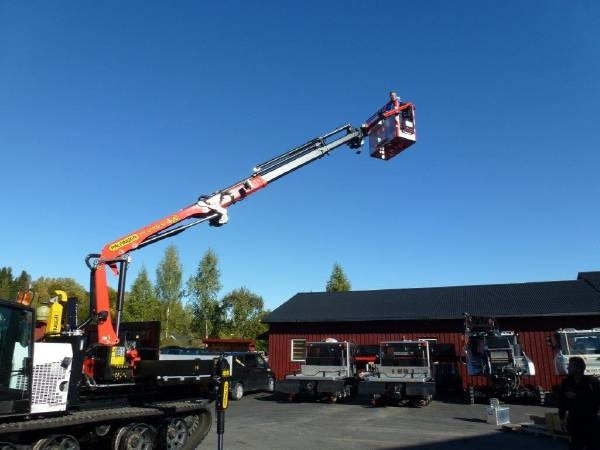 Prinoth Panther - Tracked cranes, Year of manufacture: 2013 - Mascus UK