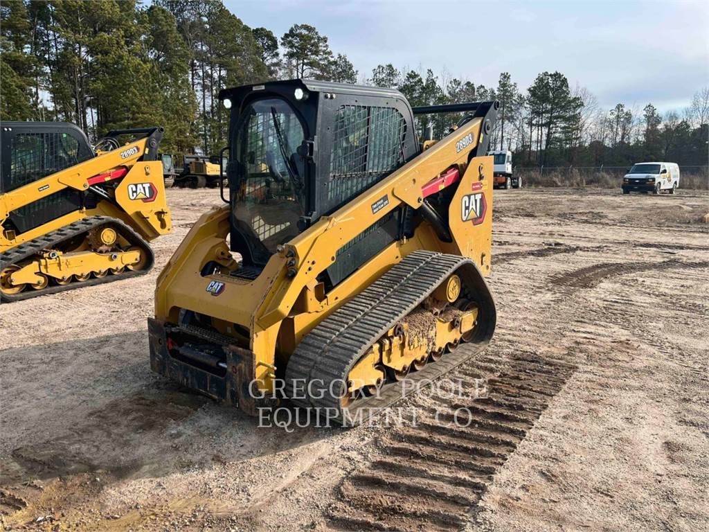 Cat 289 For Sale