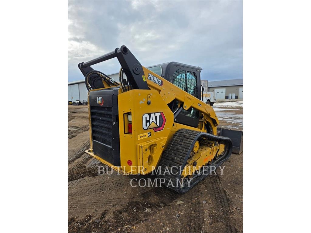 Cat 289 For Sale