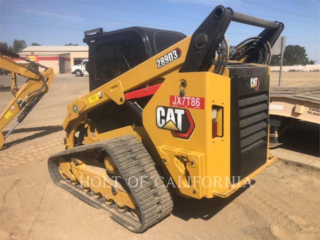 Cat 289 For Sale