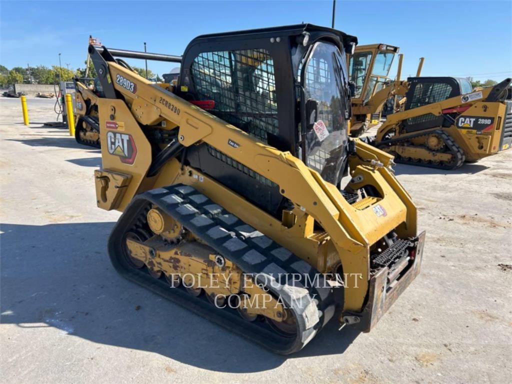 Cat 289 For Sale