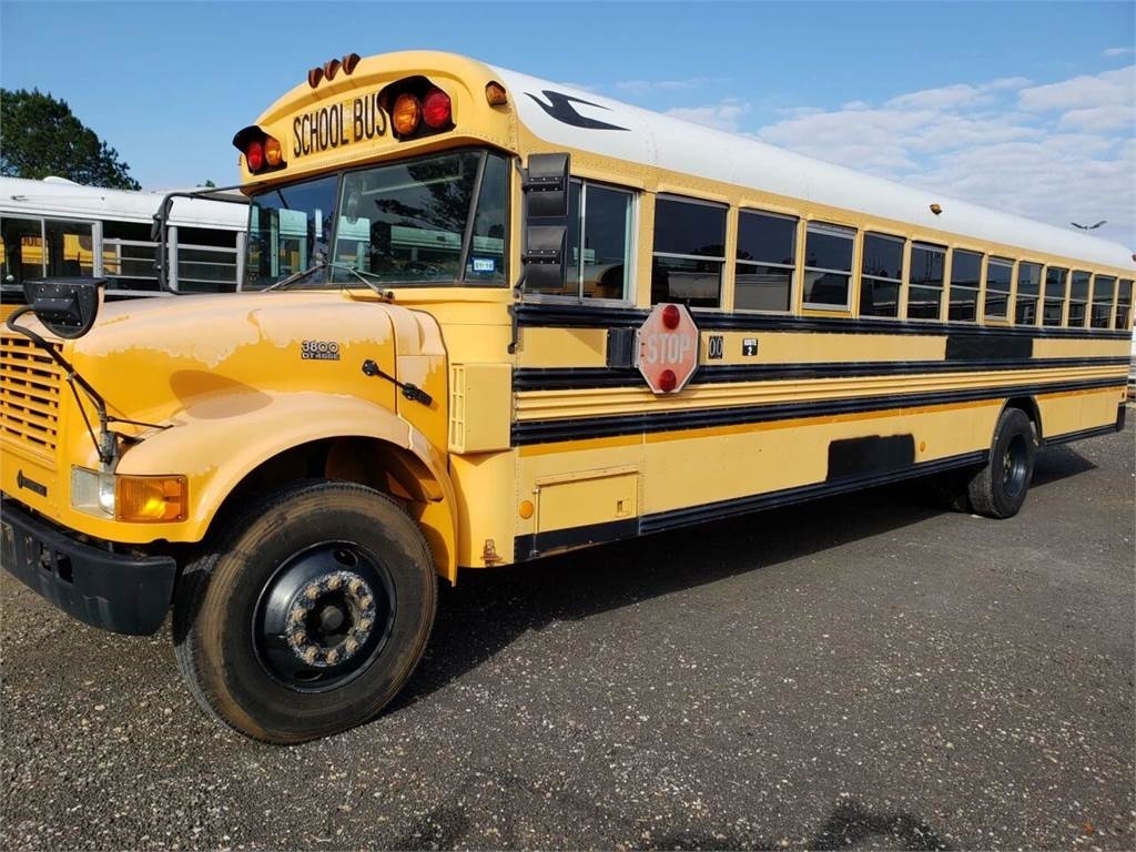 International BLUEBIRD