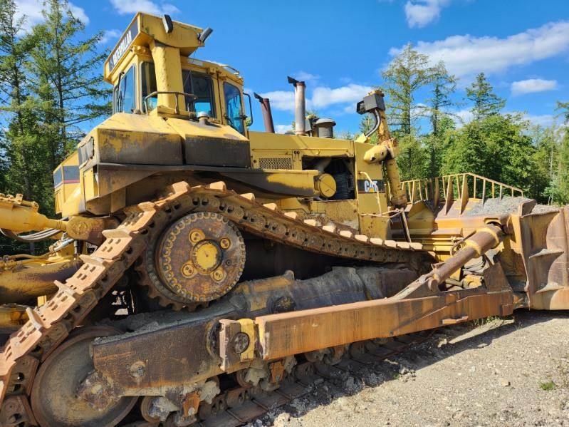CAT D11N