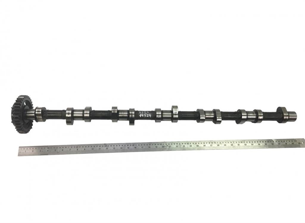 Man LIONS CITY A26, 2010, Romania, Romania - Mascus UK