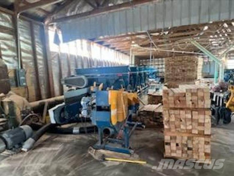 Brewer 6 Head Golden Eagle, Midwest, North Carolina, United States ...